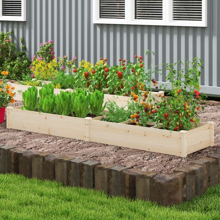 Wooden Raised Open-Ended Base Garden Bed with 2 Planter Boxes Divider ...